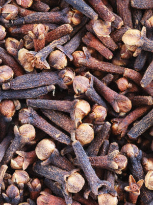True Clove Tree (syzygium aromaticum) – Kens Nursery